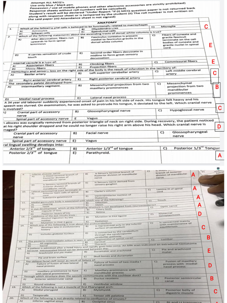 Kmc Paper d(2023) | PDF