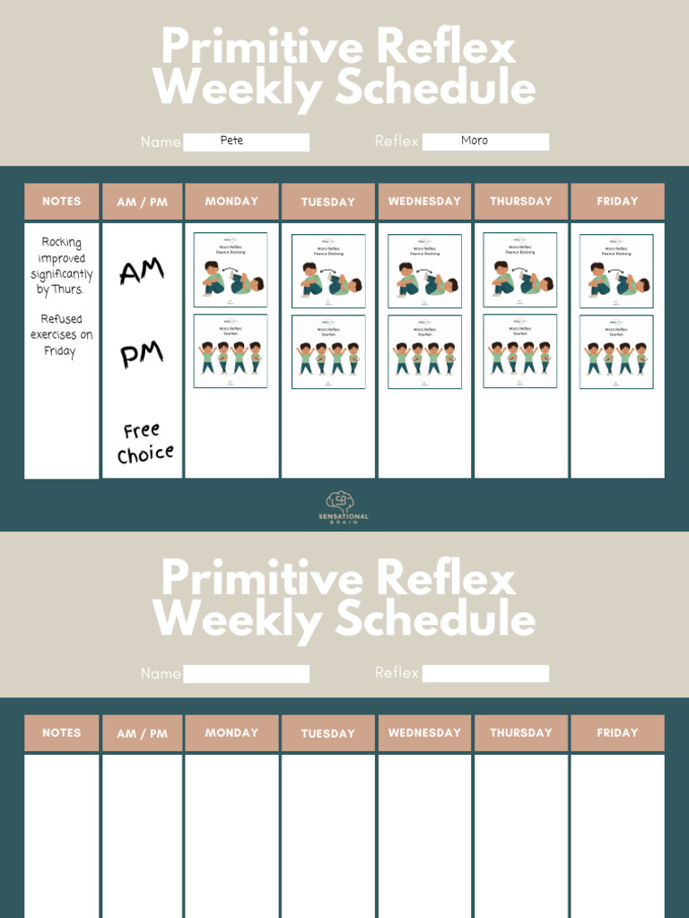 Primitive Reflex Weekly Schedule | PDF