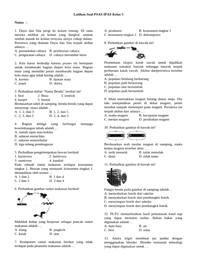 SAS IPAS Kelas 5 SEM 1 | PDF