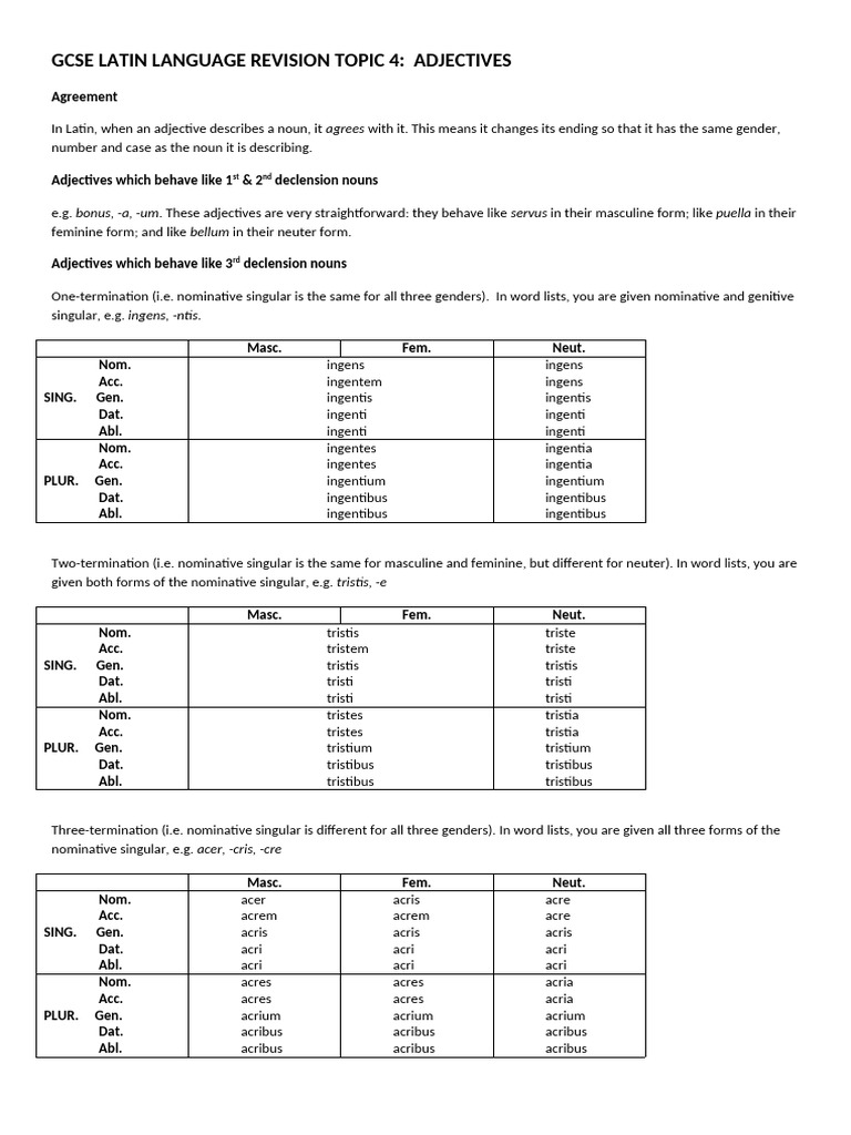 Latin Adjectives: Declension and Use | PDF | Grammatical Gender ...