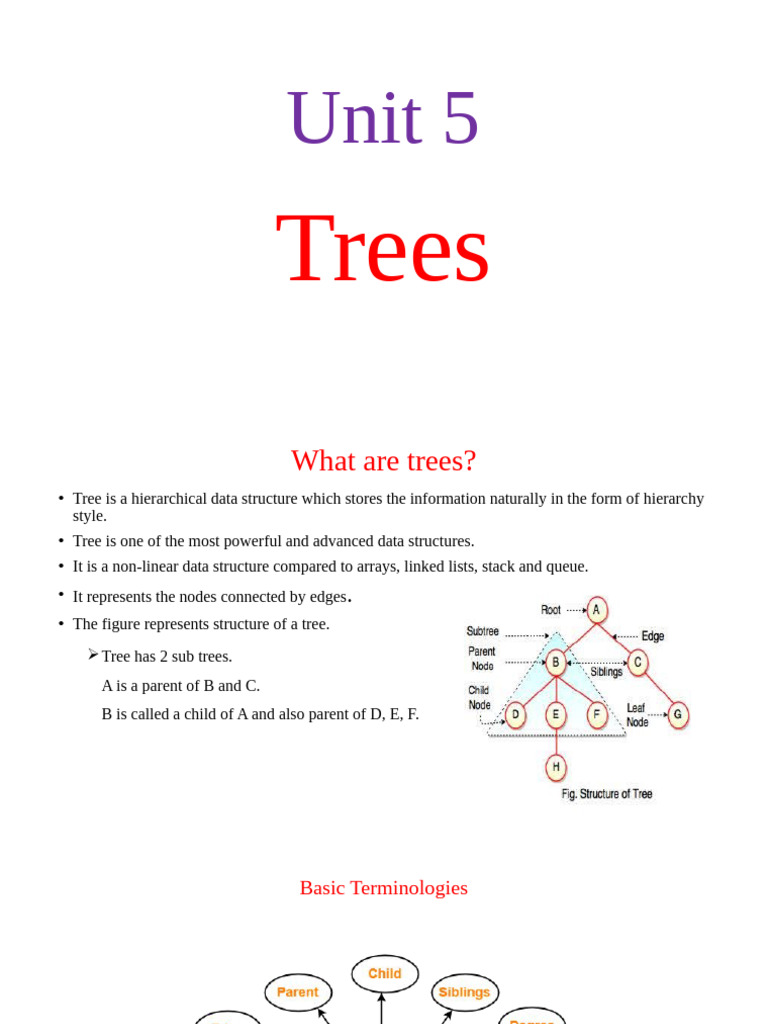 Data Structure Unit 5 Trees | PDF | Algorithms And Data Structures | Algorithms
