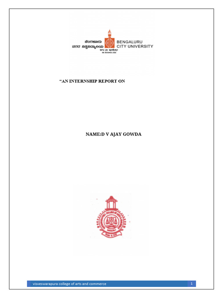 D V Ajay Gowda | PDF | Audit | Transport