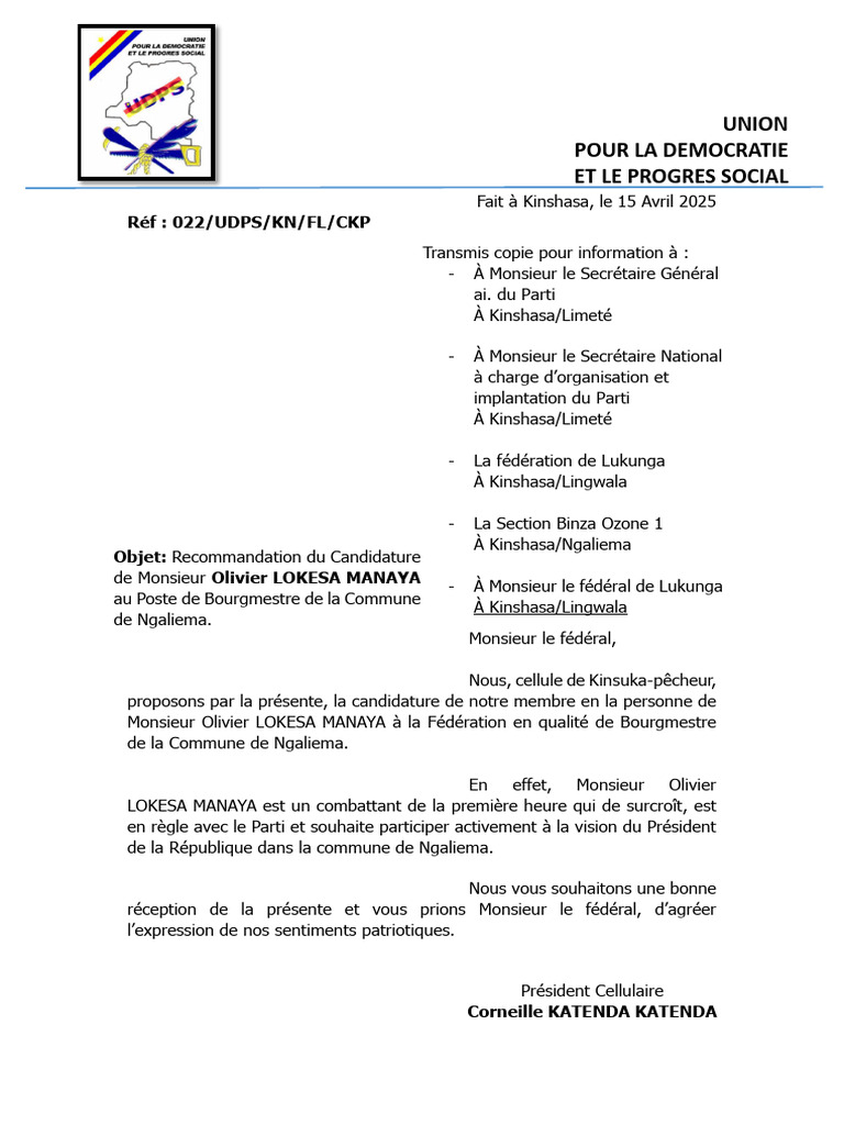 Recommandation pour Olivier Lokesa Manaya | PDF