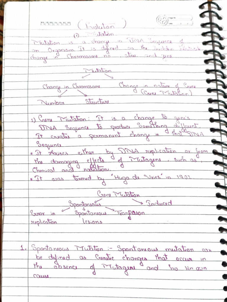 Zoology Paper 2 - Genetics and Evolution | PDF