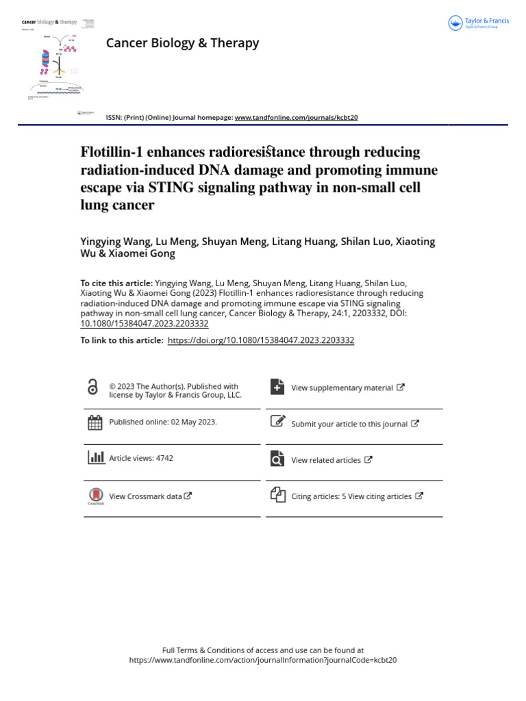 Flotillin-1 enhances radioresistance through reducing radiation-induced ...