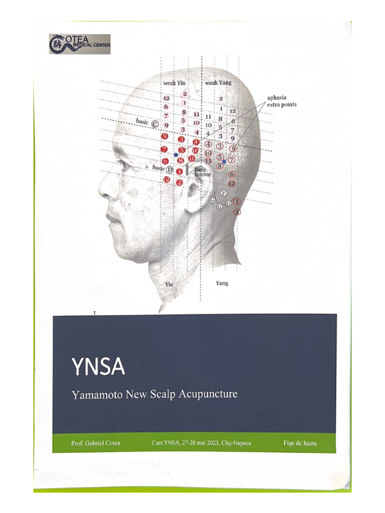 Yamamoto For Apasia | PDF
