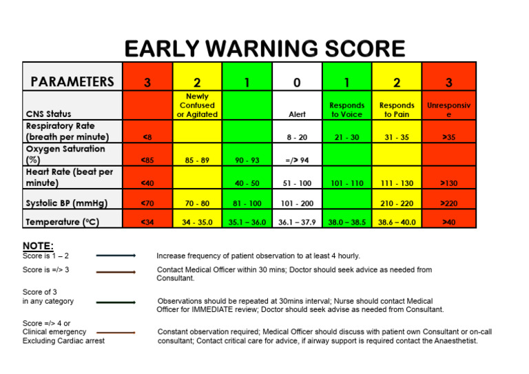 Patient Observation Scoring Guidelines | PDF