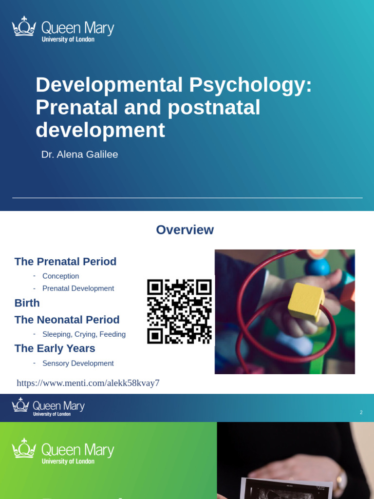 Developmental - Psychology - Lecture 2 - AG - 2025 | PDF | Prenatal ...