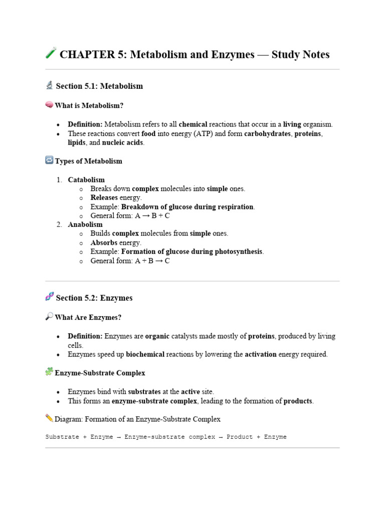 ? CHAPTER 5 form 4 biology | PDF | Enzyme | Metabolism