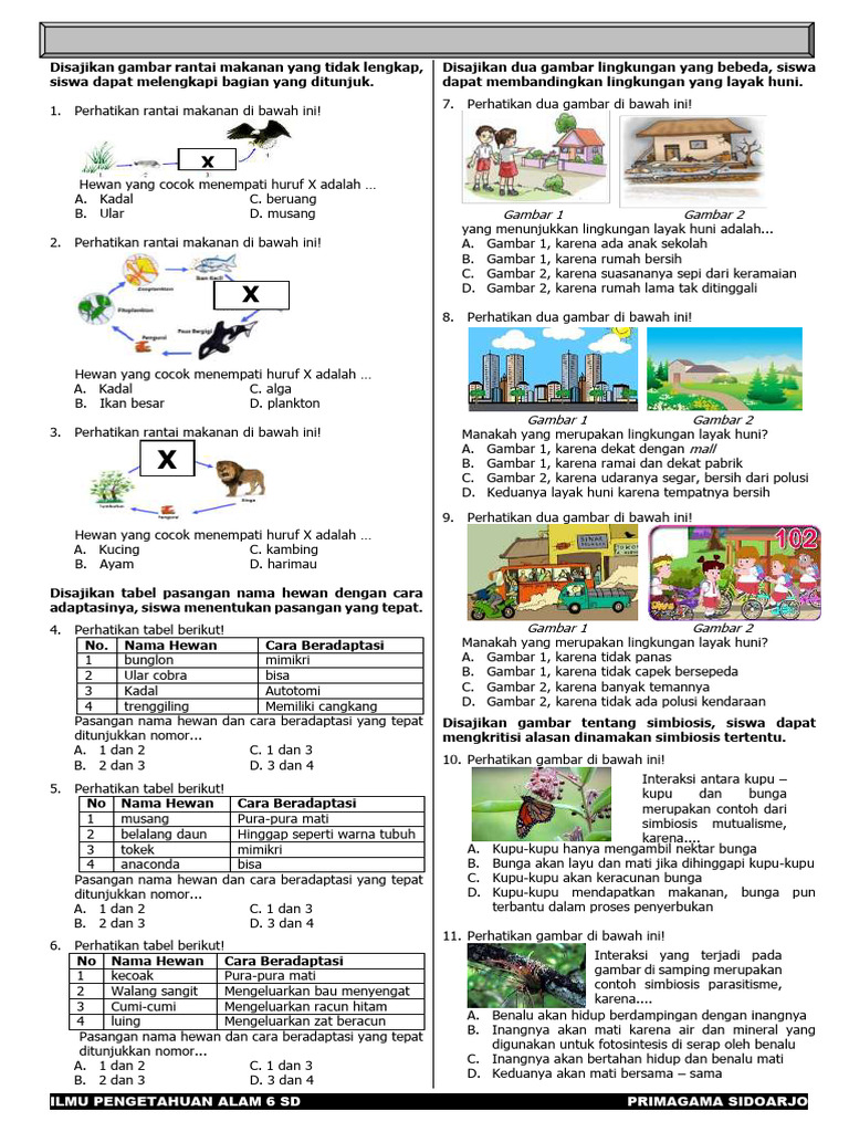 IPA Fix 12 Lembar | PDF
