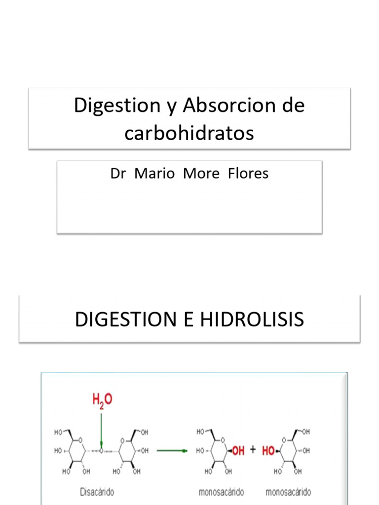 3. Digestion y Absorcion de Carbohidratos | PDF | Digestión | Bilis