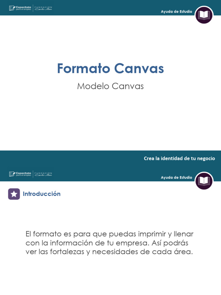 Formato CANVAS | PDF