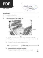 PRACTICAL 1 Effect of Light Intensity On Photosynthesis | PDF