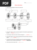 Mitosis Mover Webquest Bioman PDF | PDF | Mitosis | Chromosome