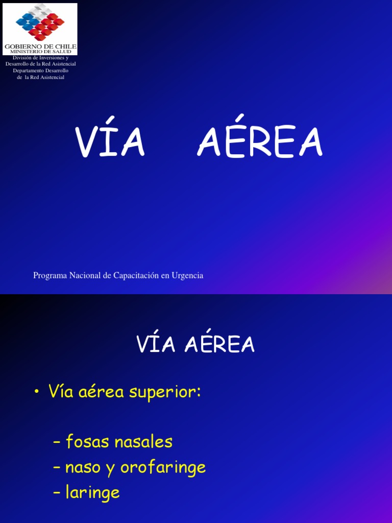 Manejo Vía Aérea | PDF | Anatomía humana | Respiración
