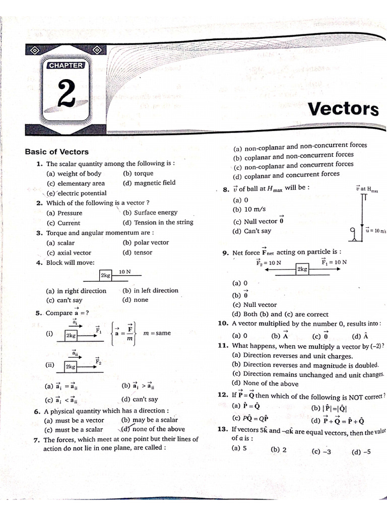 Vector | PDF