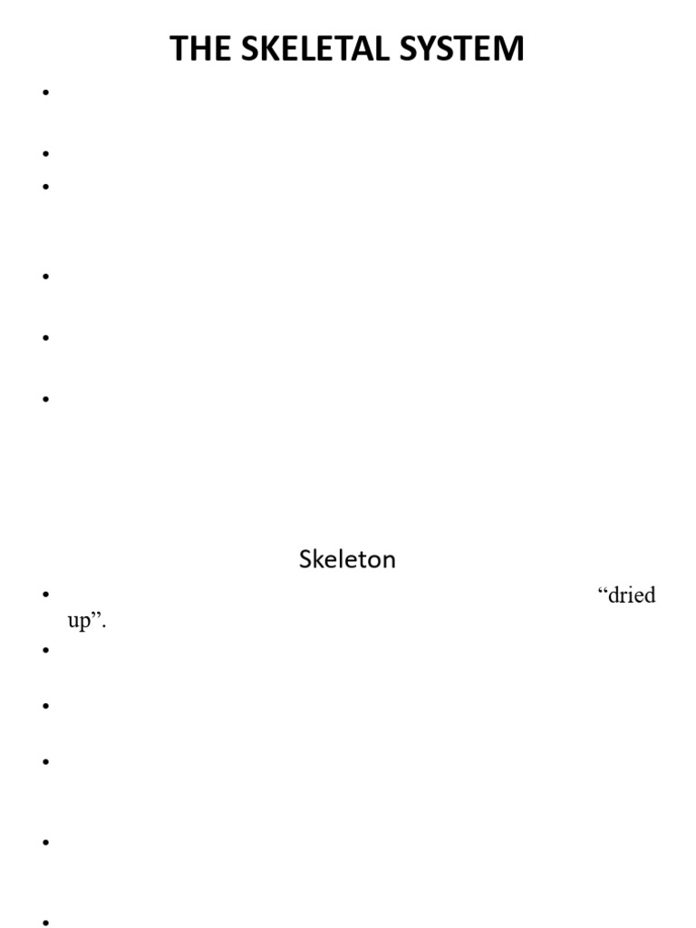 2.the Skeletal System | PDF | Bone | Skeleton