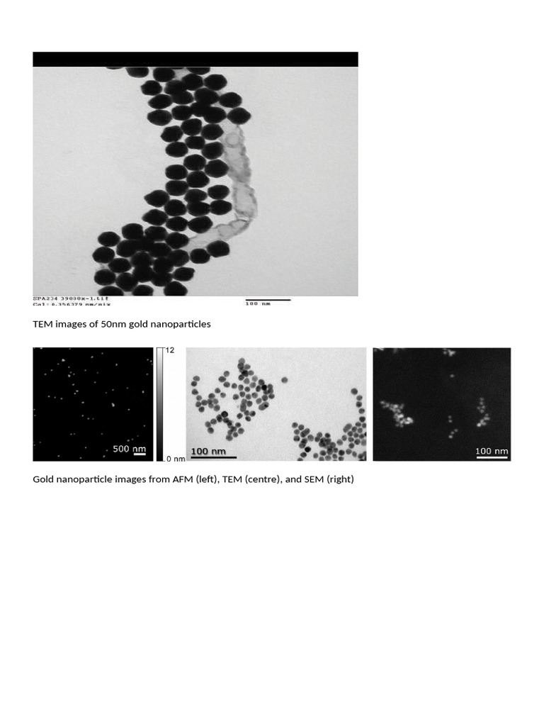 Microscopic Images With Descriptions | PDF