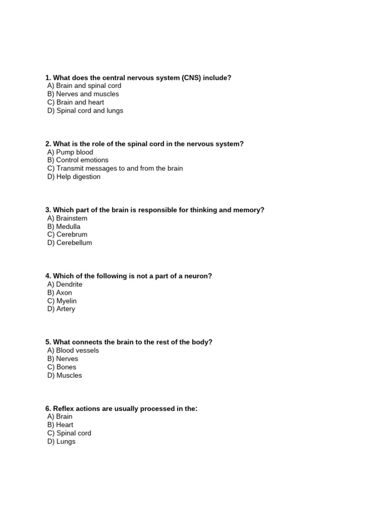 Nervous System Quiz Average | PDF