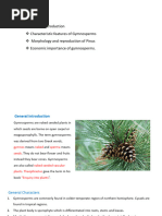 Overview of Division Pinophyta | PDF | Botany | Biology