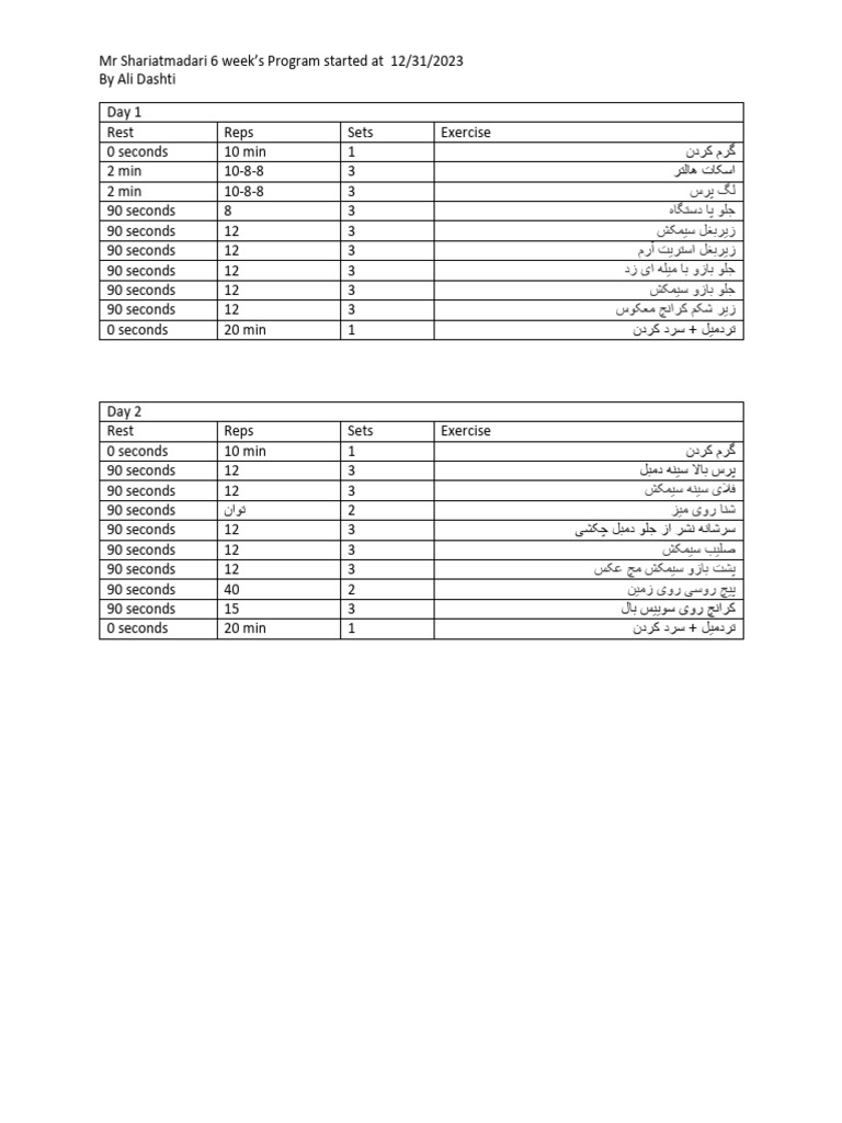 Shervin Shariatmadari 2nd Program | PDF