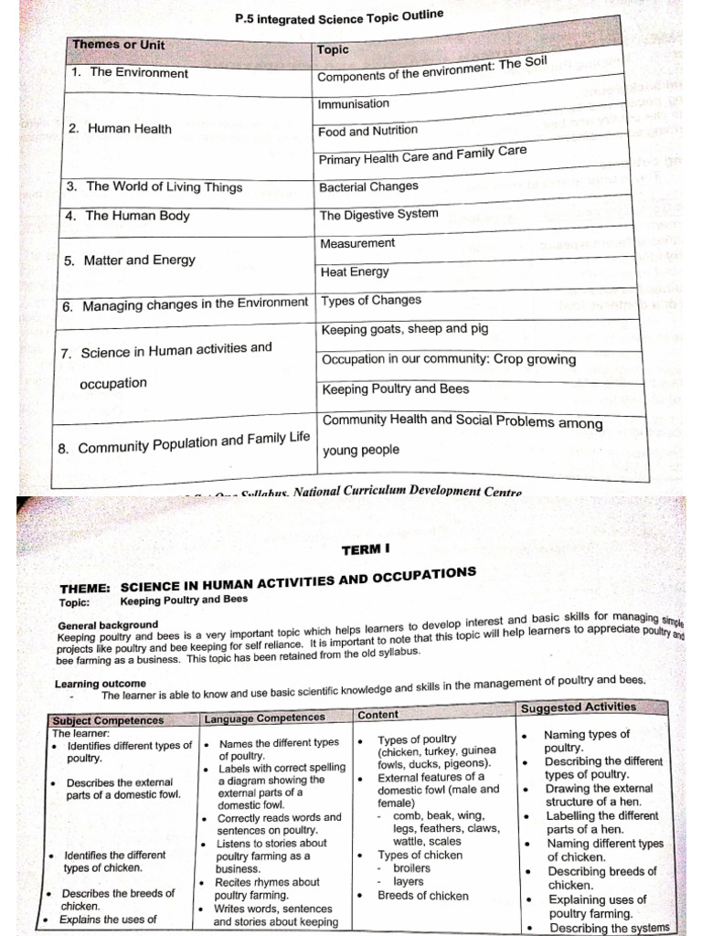 P5 SCIENCE CURRICULUM | PDF