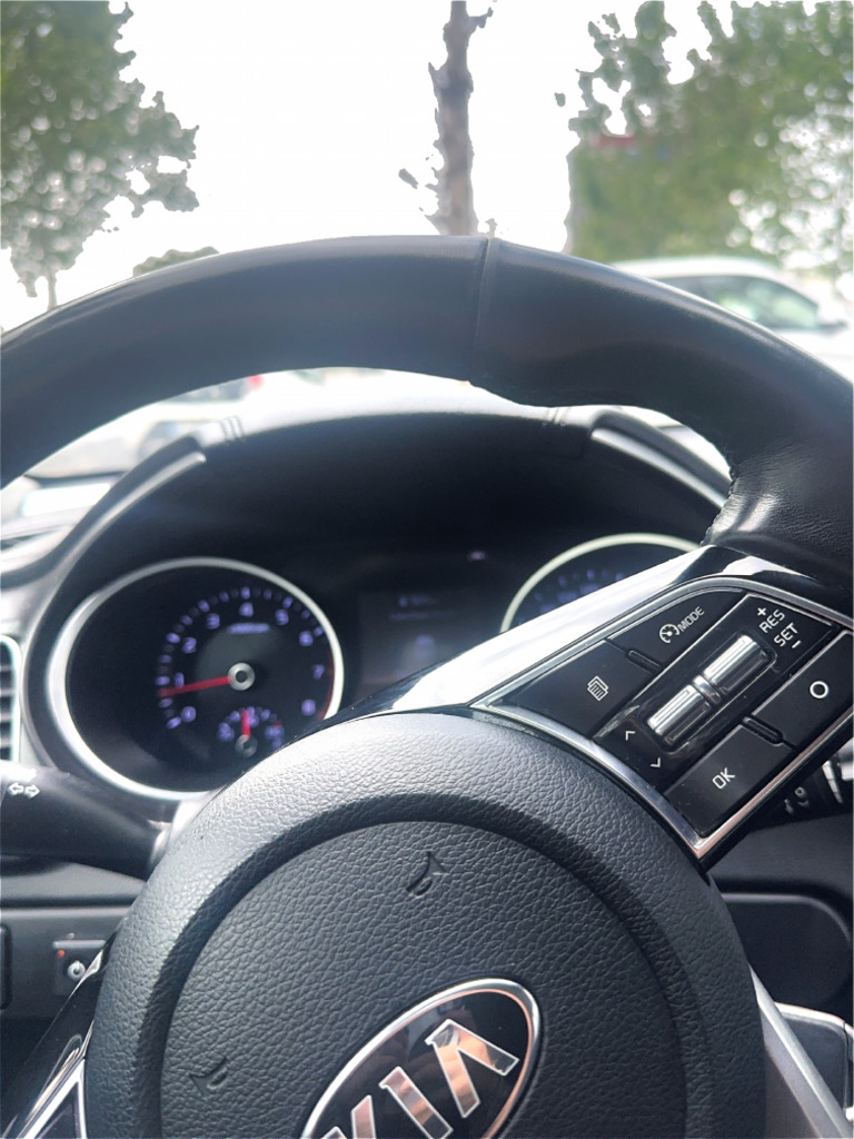 Document Scanat | PDF