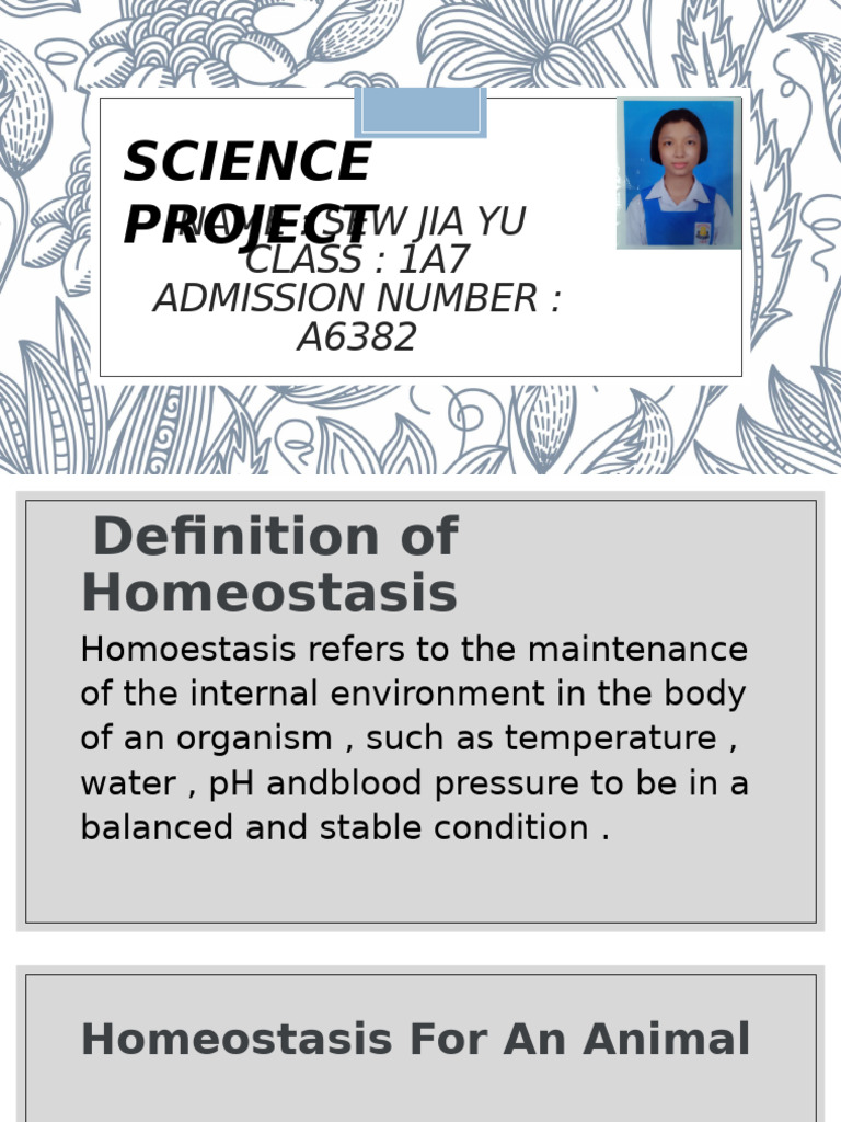 Science Project 1 2023 | PDF