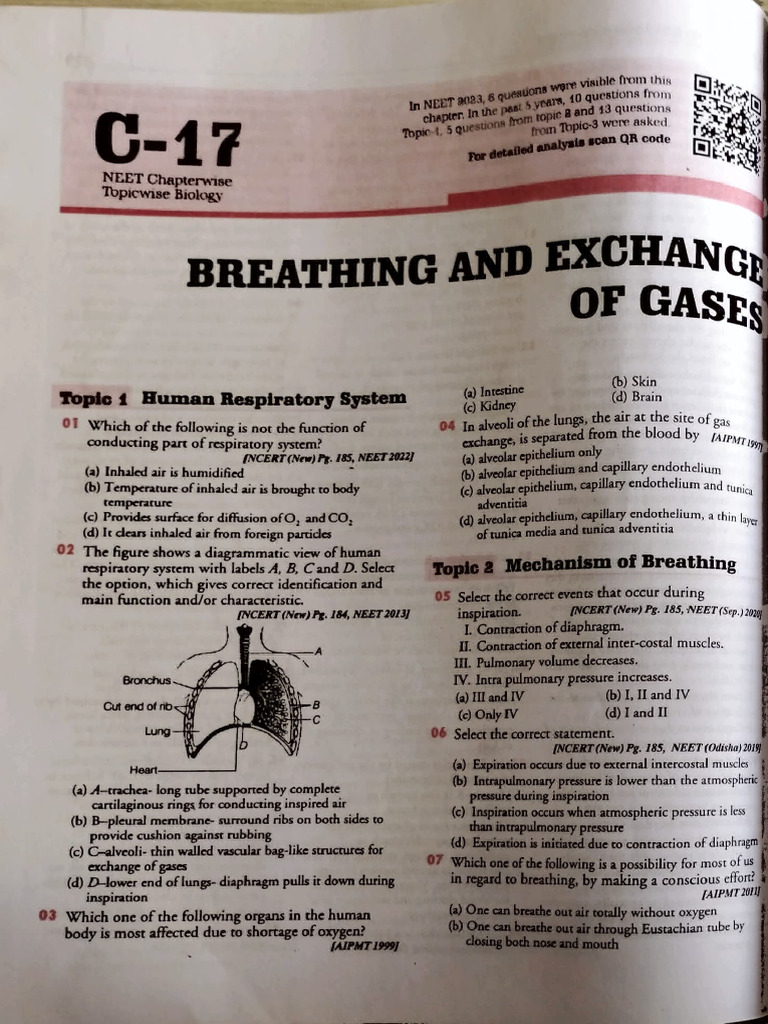 Bio MCQ Breathing and Circulatory | PDF | Respiratory System | Lung