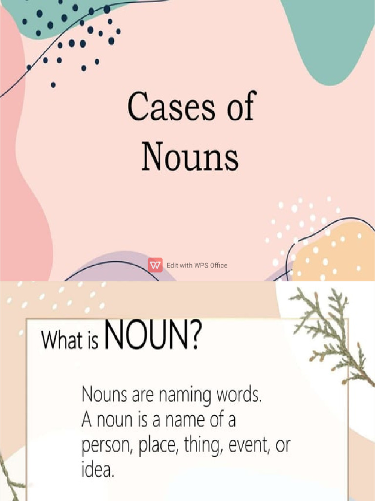 Cases of Nouns LESSON 1 | PDF