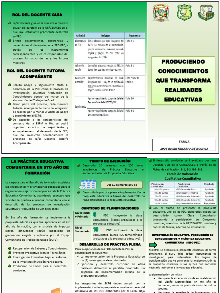 Triptico Pec | PDF | Aprendizaje
