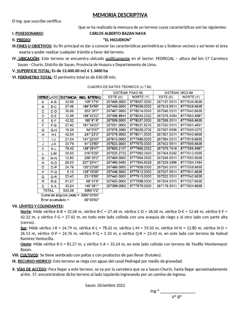 Ejemplo Memoria Sayan | PDF