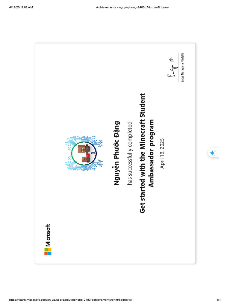 Minecraft Ambassador Program Success | PDF