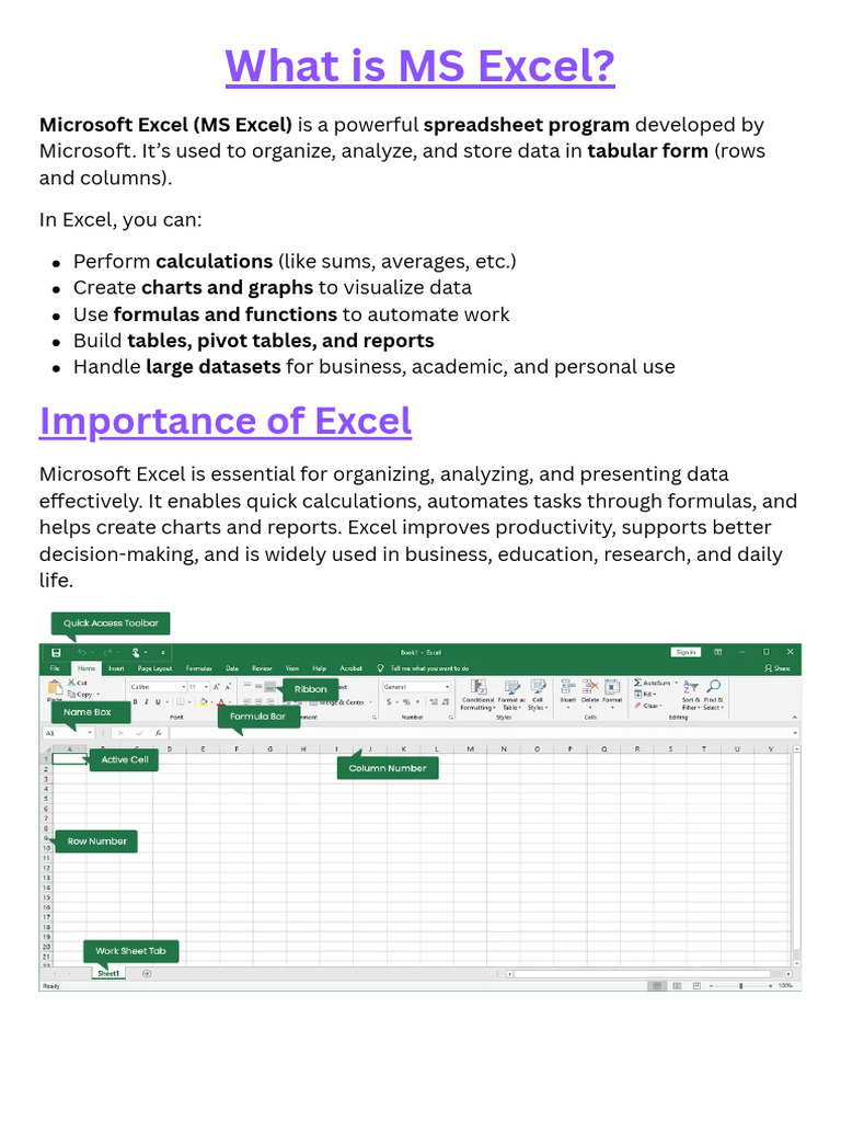 What is MS Excel | PDF