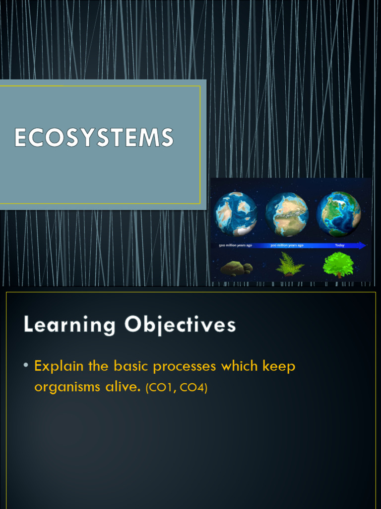 Module 2 Ecosystems - Part 1 | PDF | Food Web | Earth