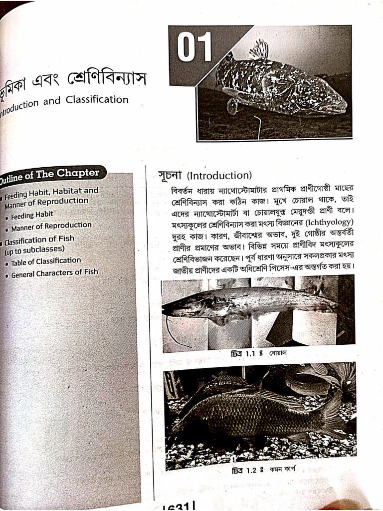 Zoo ch1 5th Sem | PDF