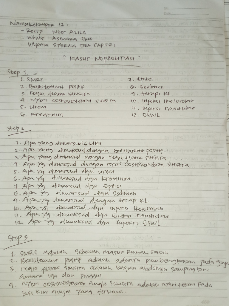 Nefrolitiasis Kel. 12 | PDF