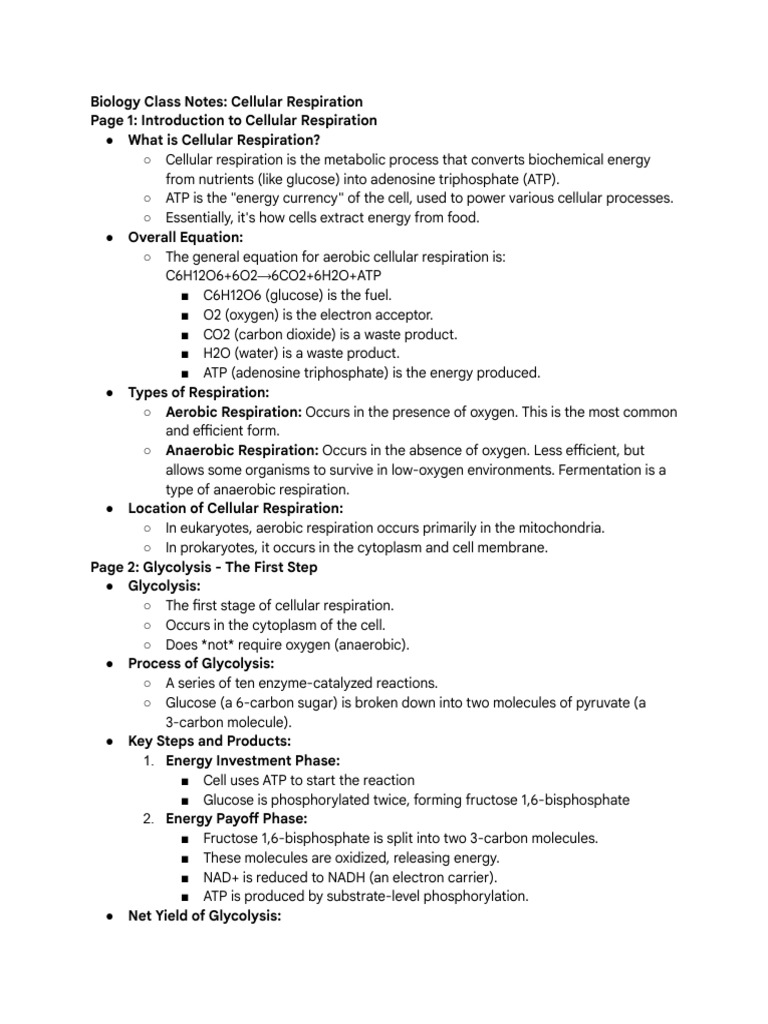Cellular Respiration Overview and Processes | PDF | Cellular ...