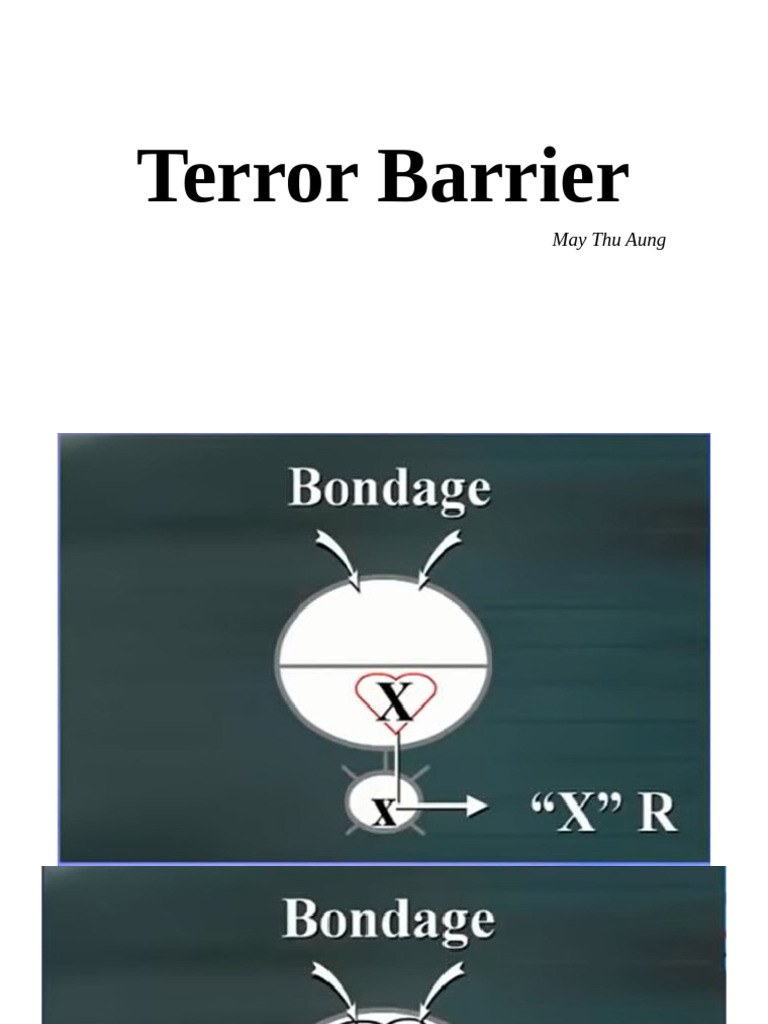 Terror Barrier | PDF
