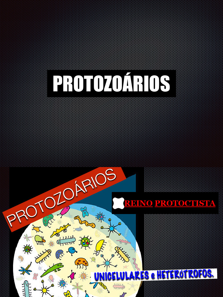 Características e Classificação dos Protozoários | PDF | Reprodução ...