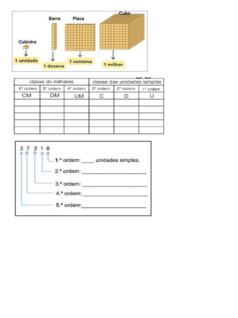 Ordem e Classe | PDF