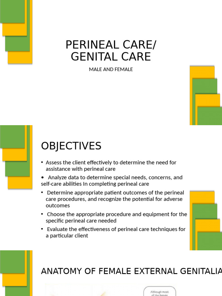 4perineal Care Genital Care | PDF | Vagina | Clinical Medicine