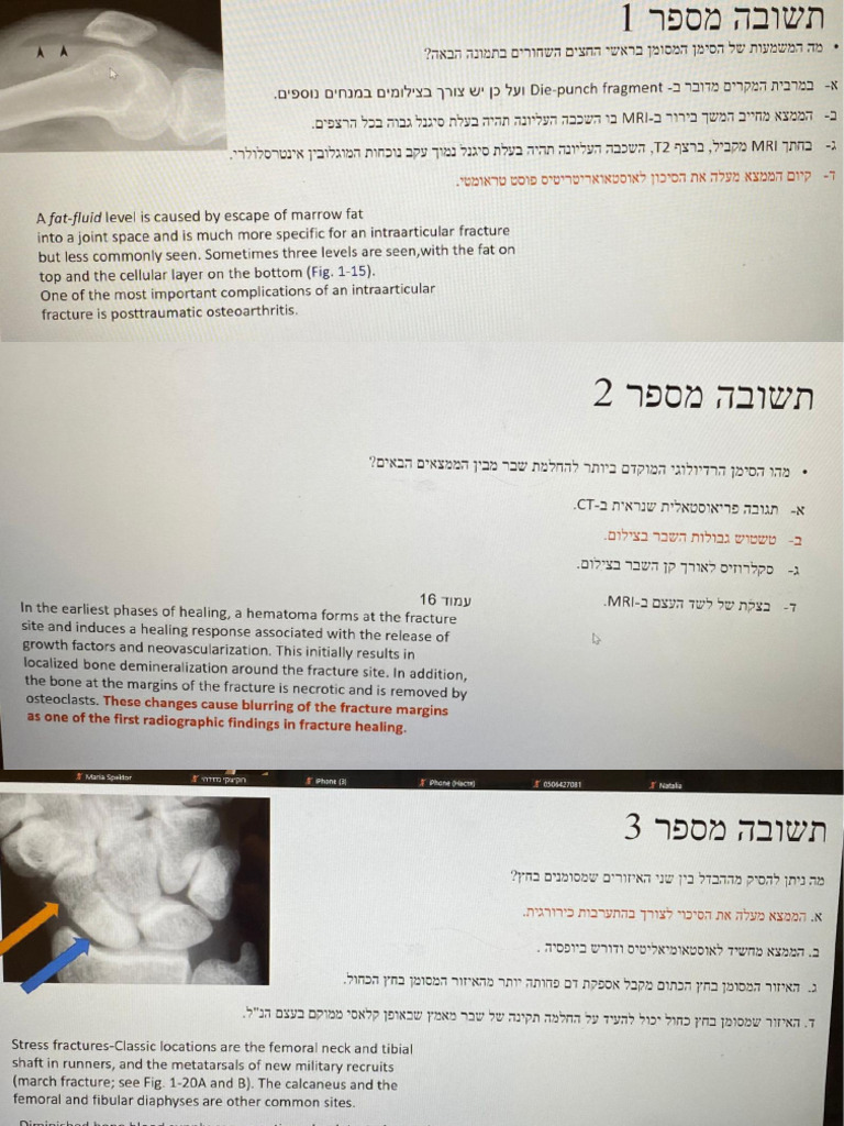 1 2 | PDF