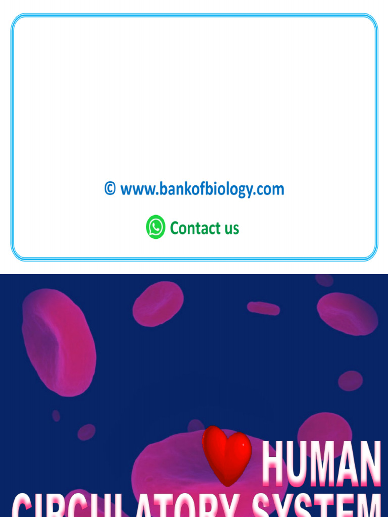 18 Body Fluids N Circulation - PPT - Part 2 (1) - Pages-1 | PDF