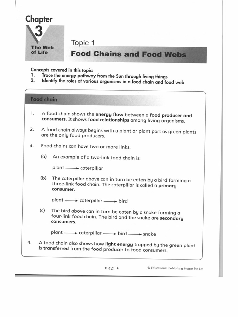The Web of Life - Topic 1 -Food Chains,Food Web | PDF