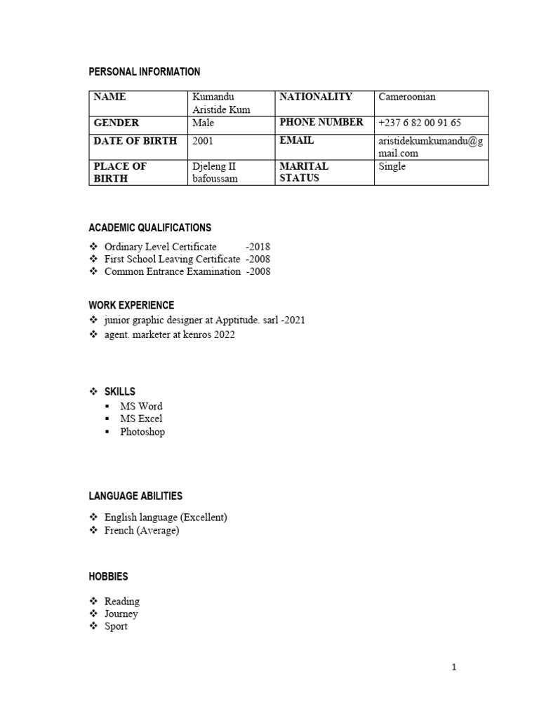 CV Kumandu Aristide | PDF