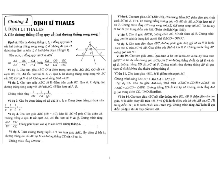 Dinh Li Thales | PDF