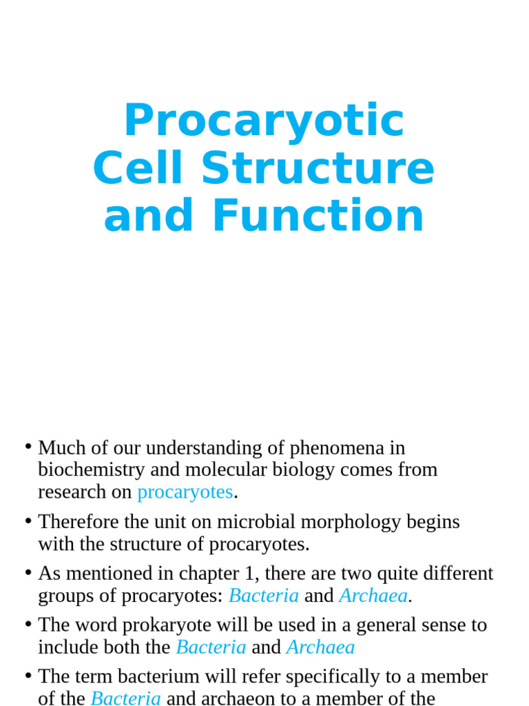 CHAPTER 3- Procaryotic Cell Structure | PDF | Plasmid | Bacteria