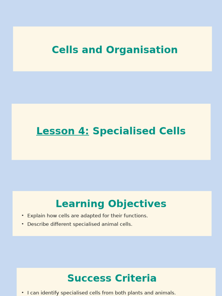 Lesson 4 Specialised Cells | PDF | Cell (Biology) | Plants
