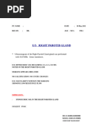 UGI Endoscopy Report Template | PDF